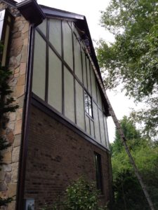 Bat Removal Service by Southern Wildlife Management